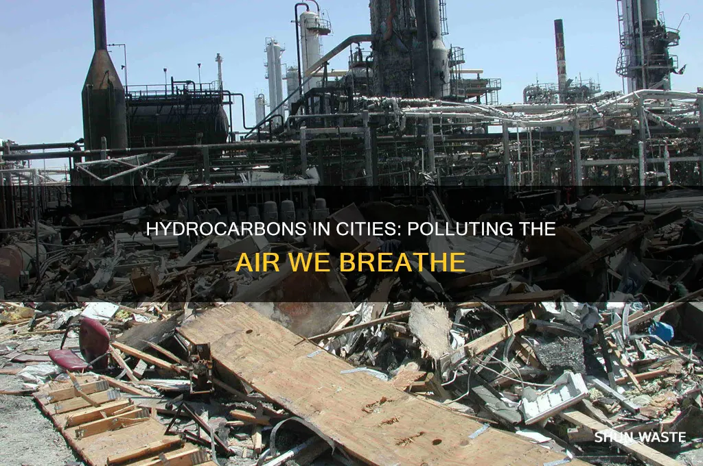 Hydrocarbons In Cities: Polluting The Air We Breathe | ShunWaste