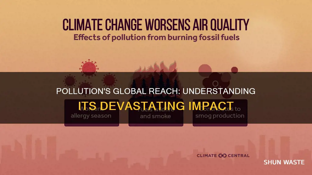 Pollution's Global Reach: Understanding Its Devastating Impact | ShunWaste