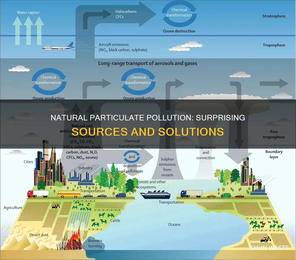 Natural Particulate Pollution: Surprising Sources And Solutions | ShunWaste