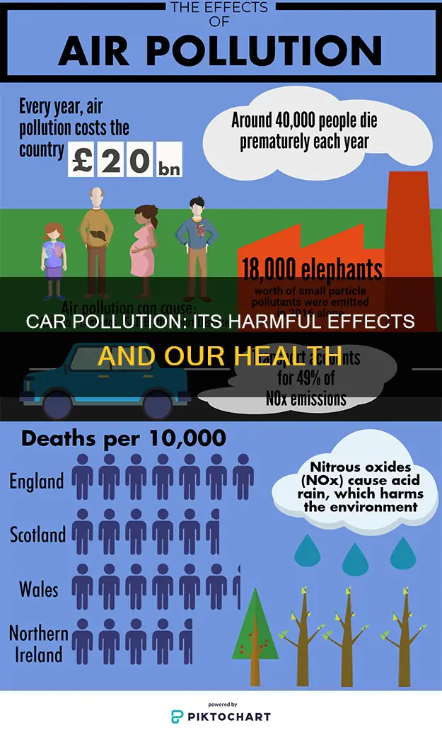Car Pollution: Its Harmful Effects And Our Health | ShunWaste