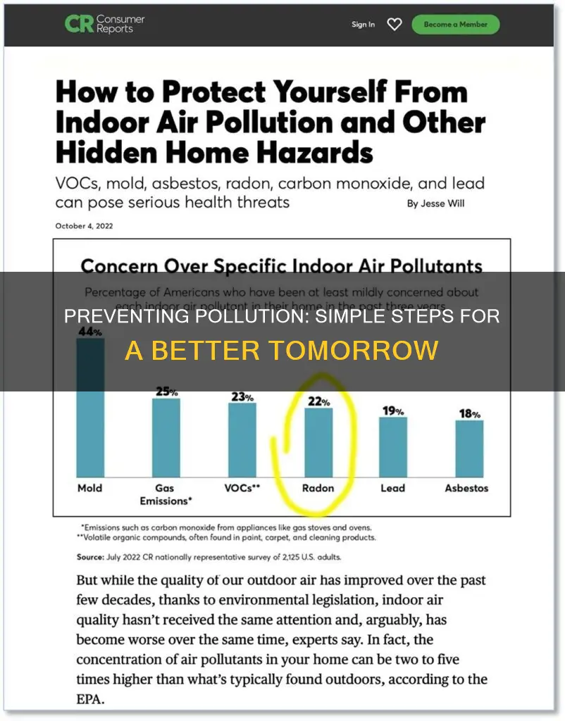 Preventing Pollution: Simple Steps For A Better Tomorrow | ShunWaste