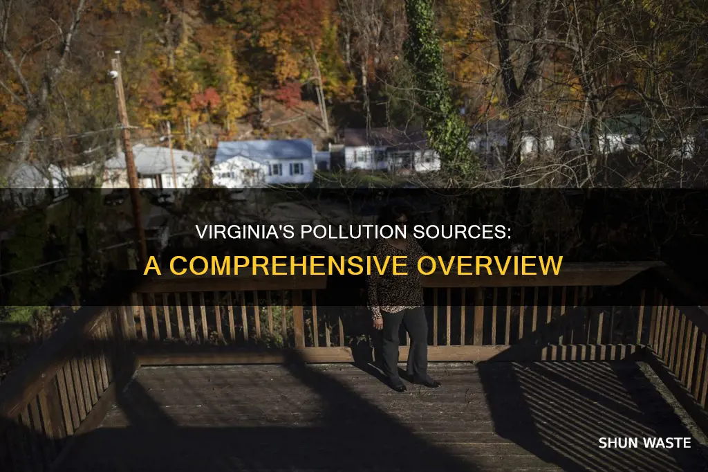 Virginia's Pollution Sources: A Comprehensive Overview | ShunWaste