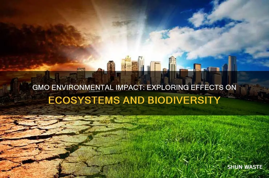 Gmo Environmental Impact: Exploring Effects On Ecosystems And ...