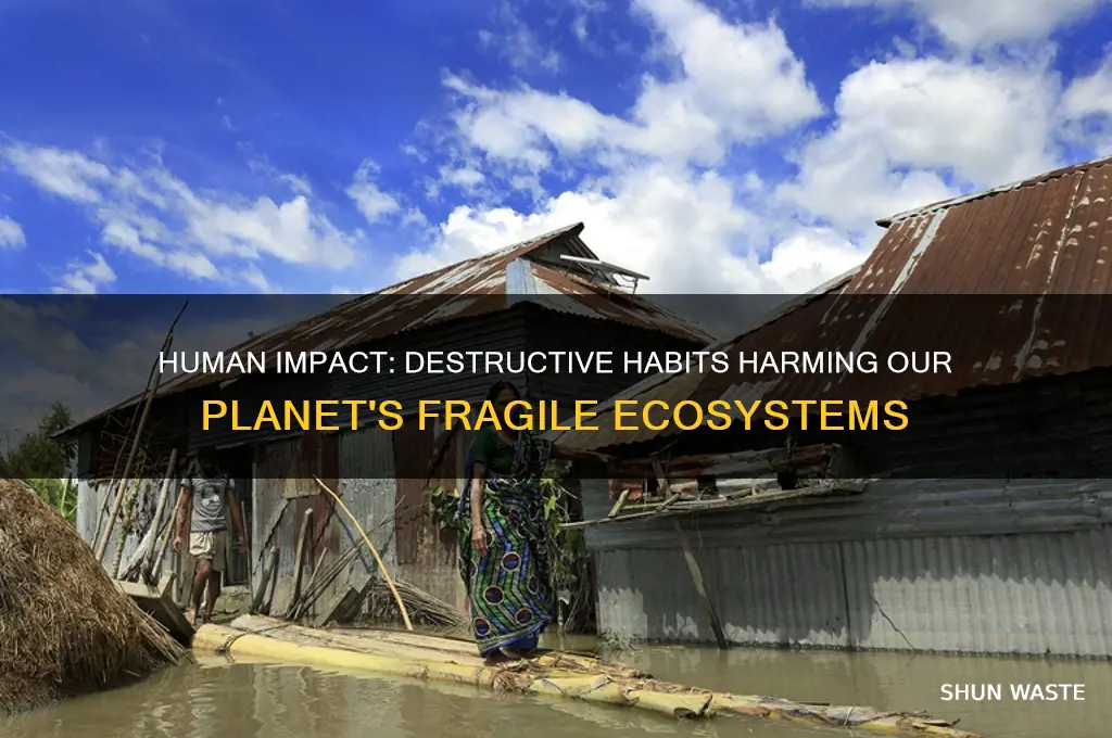 Human Impact: Destructive Habits Harming Our Planet's Fragile ...