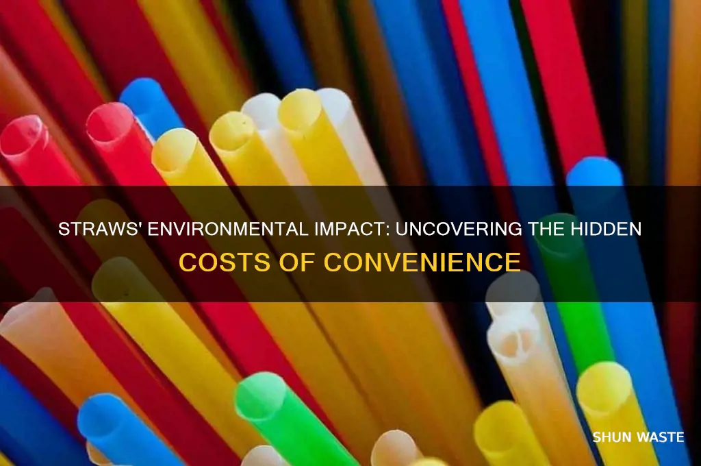 Straws' Environmental Impact: Uncovering The Hidden Costs Of ...
