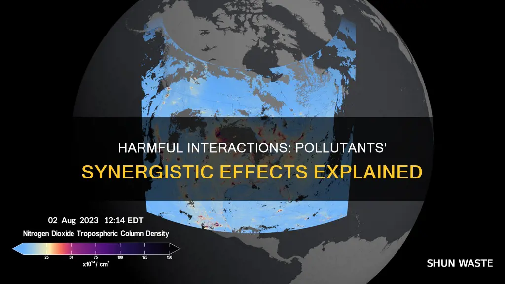 Harmful Interactions: Pollutants' Synergistic Effects Explained | ShunWaste