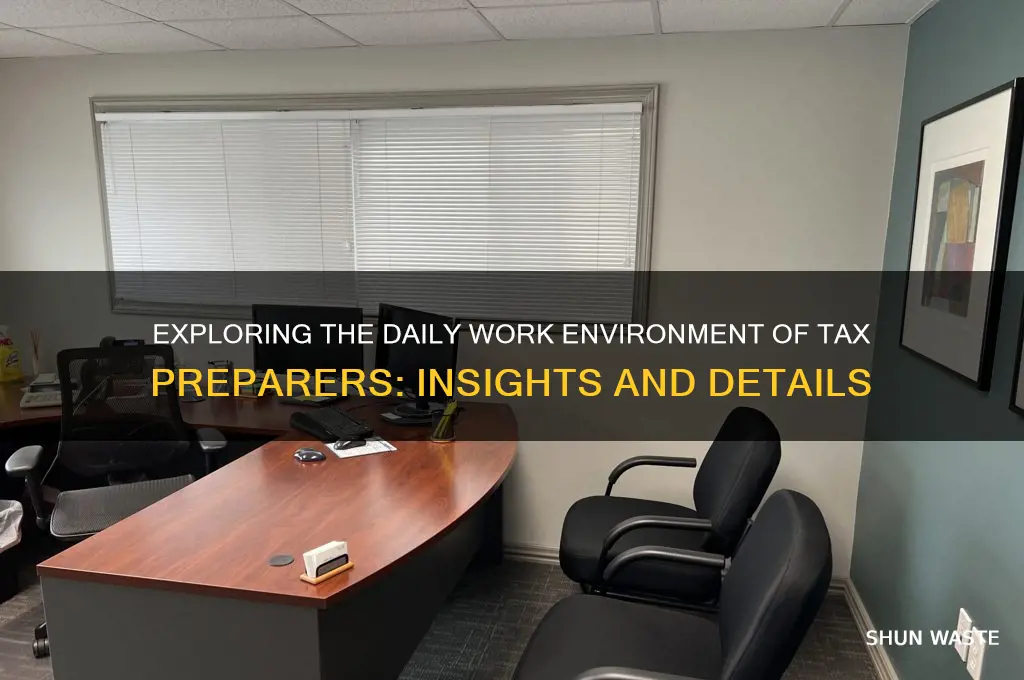 Exploring The Daily Work Environment Of Tax Preparers: Insights And ...