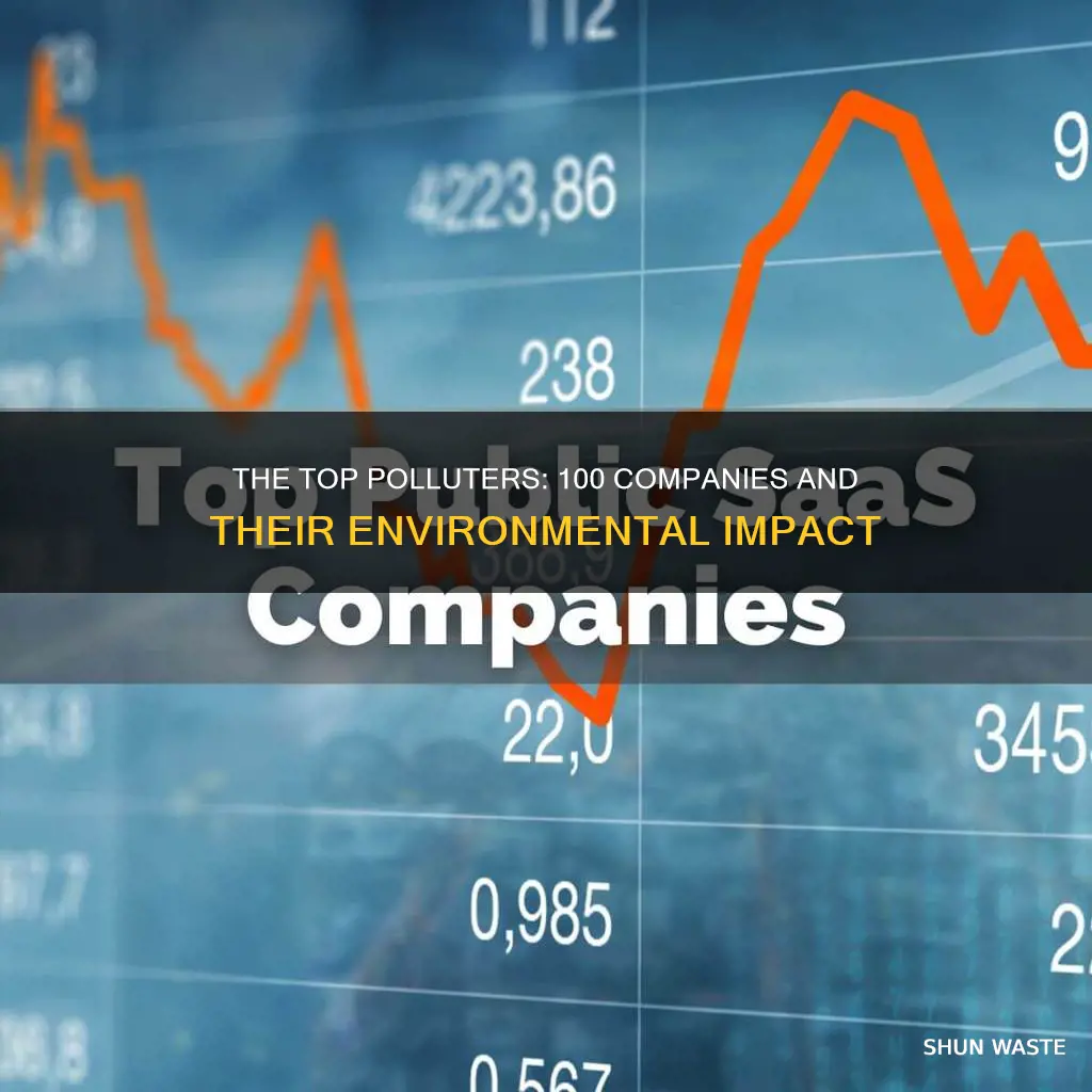 The Top Polluters: 100 Companies And Their Environmental Impact | ShunWaste