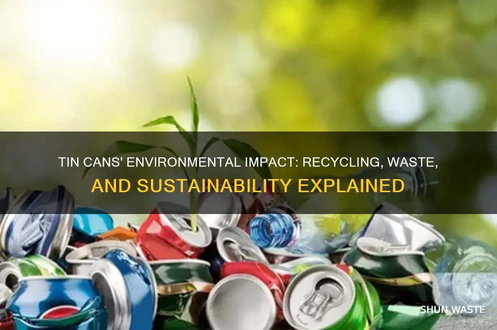 Tin Cans' Environmental Impact: Recycling, Waste, And Sustainability ...