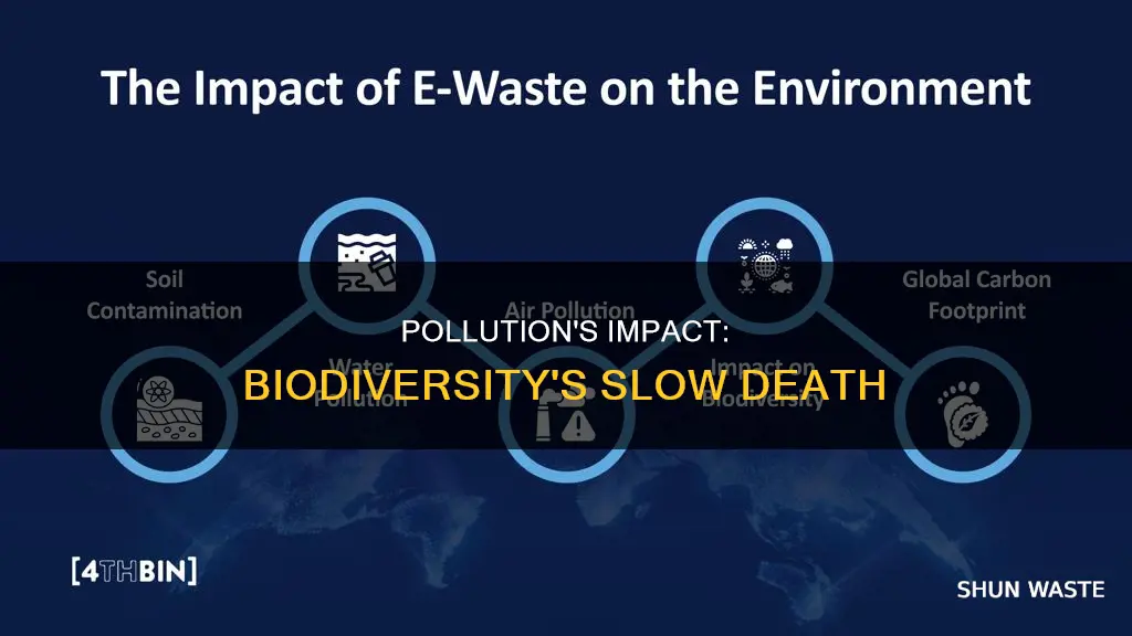 Pollution's Impact: Biodiversity's Slow Death | ShunWaste