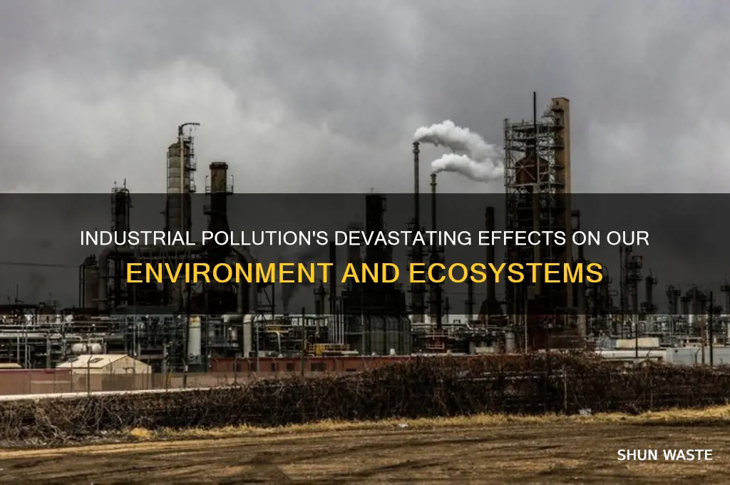 Industrial Pollution's Devastating Effects On Our Environment And ...