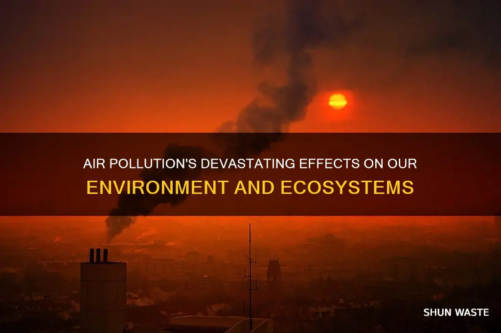 Air Pollution's Devastating Effects On Our Environment And Ecosystems ...