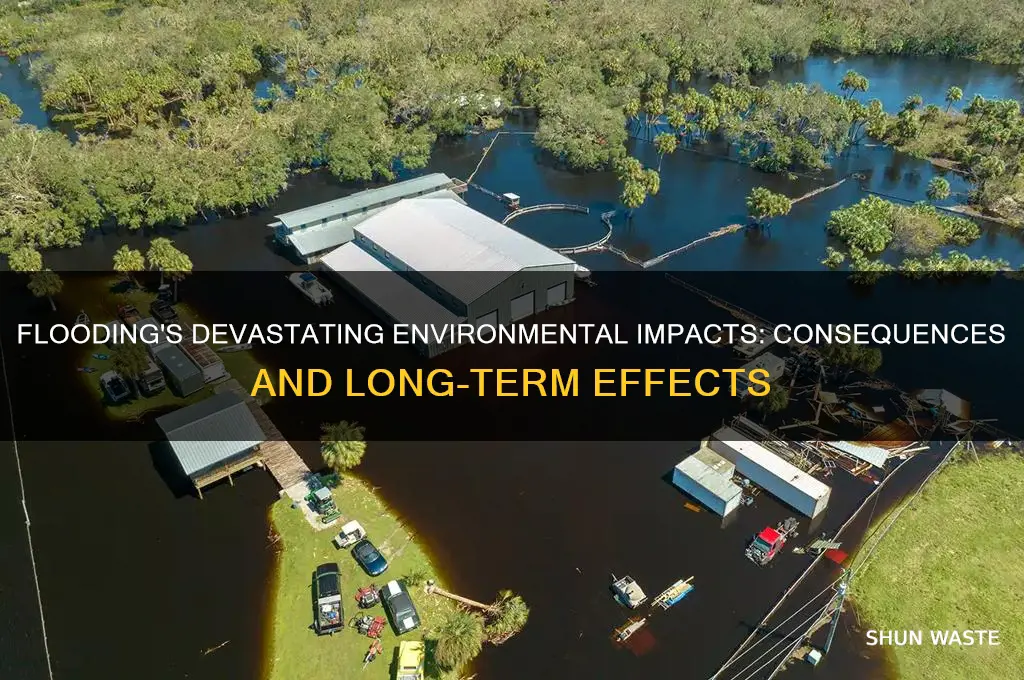 Flooding's Devastating Environmental Impacts: Consequences And Long ...