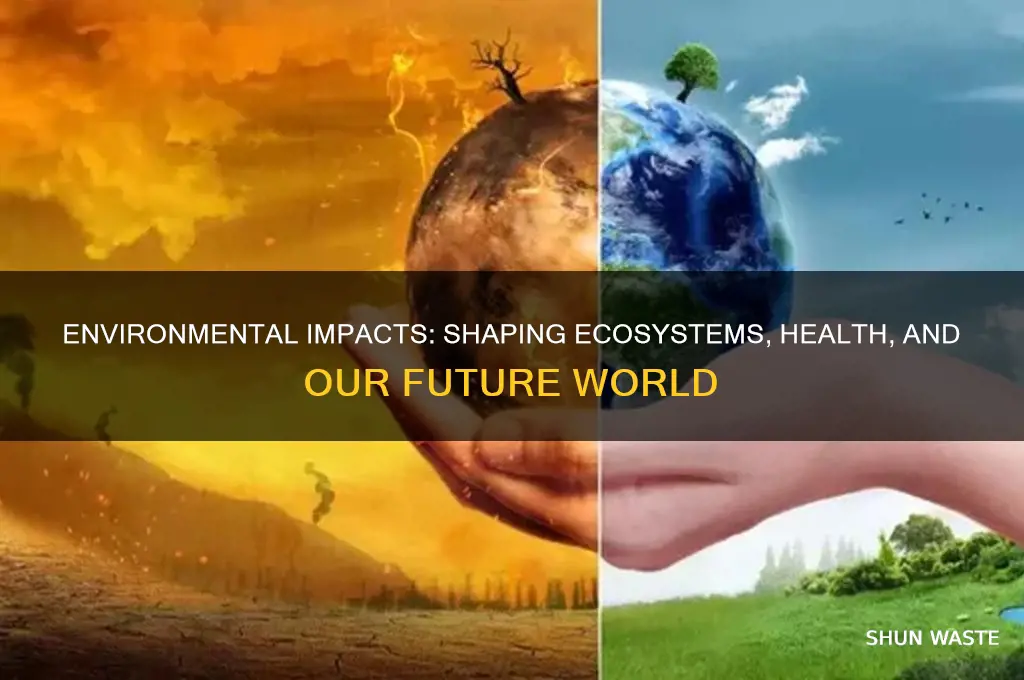 Environmental Impacts: Shaping Ecosystems, Health, And Our Future World ...