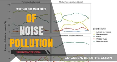 Pollution's Harmful Impact: Key Issues And Challenges | ShunWaste