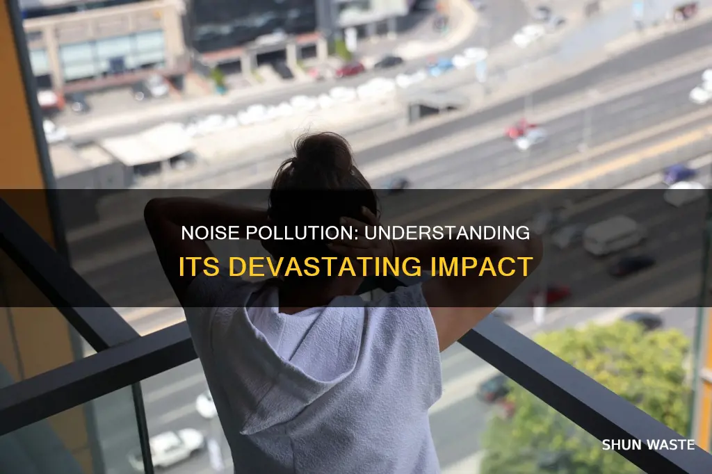 Noise Pollution: Understanding Its Devastating Impact | ShunWaste