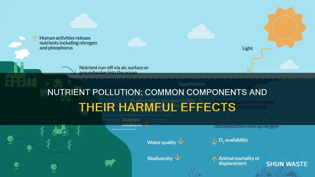 Nutrient Pollution: Common Components And Their Harmful Effects | ShunWaste