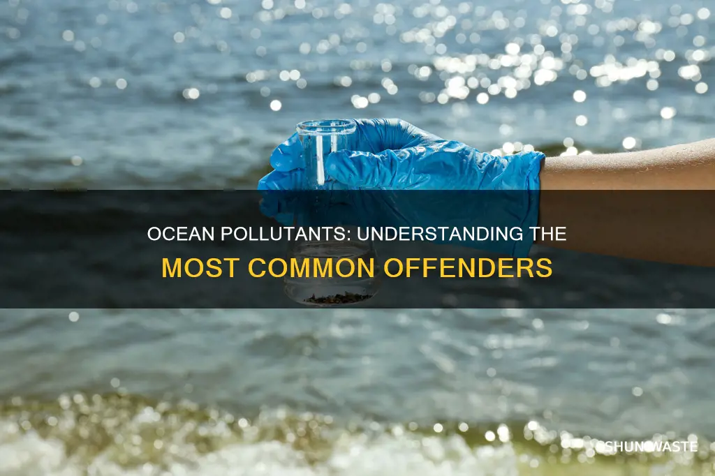 Ocean Pollutants: Understanding The Most Common Offenders | ShunWaste