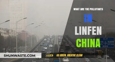 Linfen's Pollutants: A Toxic Legacy | ShunWaste