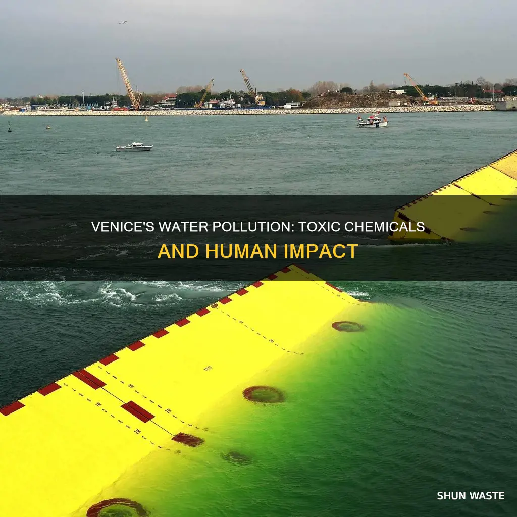 Venice's Water Pollution: Toxic Chemicals And Human Impact | ShunWaste