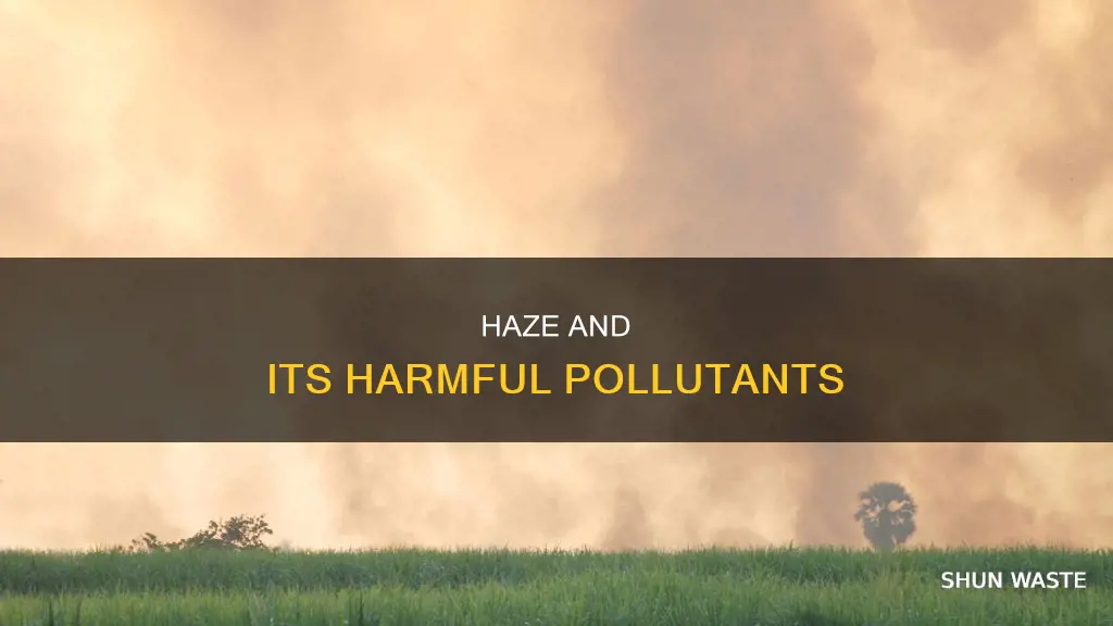 Haze And Its Harmful Pollutants | ShunWaste