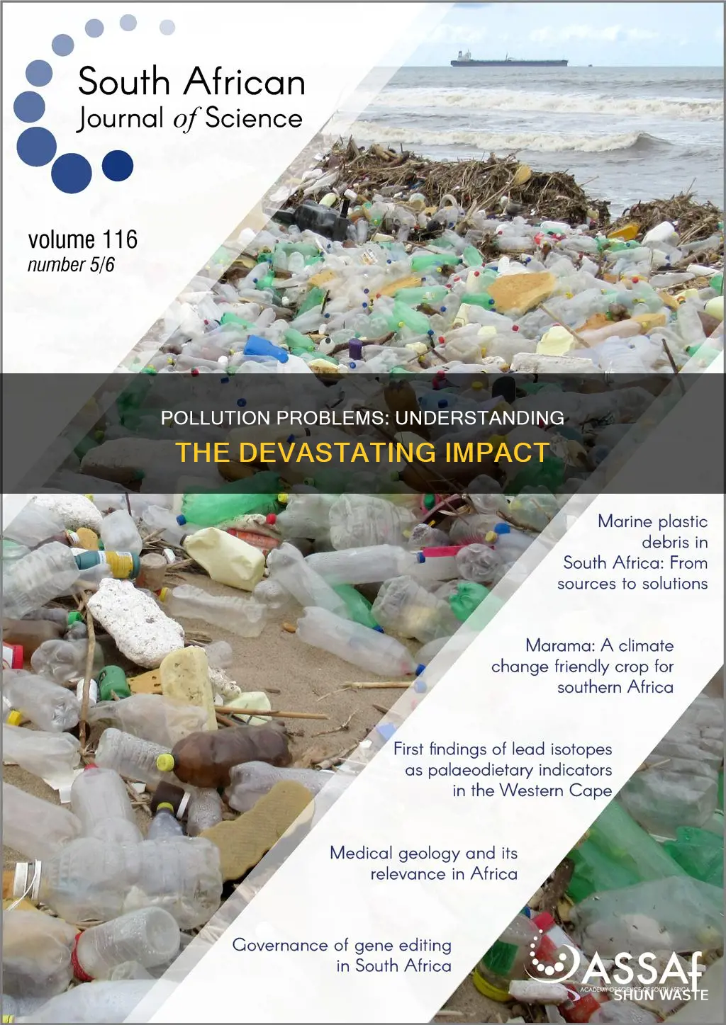 Pollution Problems: Understanding The Devastating Impact | ShunWaste