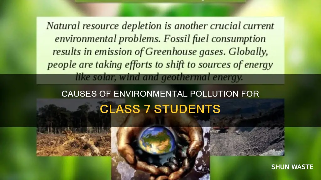 Causes Of Environmental Pollution For Class 7 Students | ShunWaste