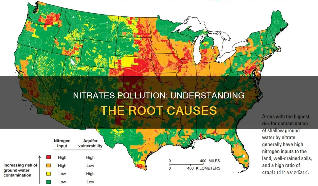 Nitrates Pollution: Understanding The Root Causes | ShunWaste