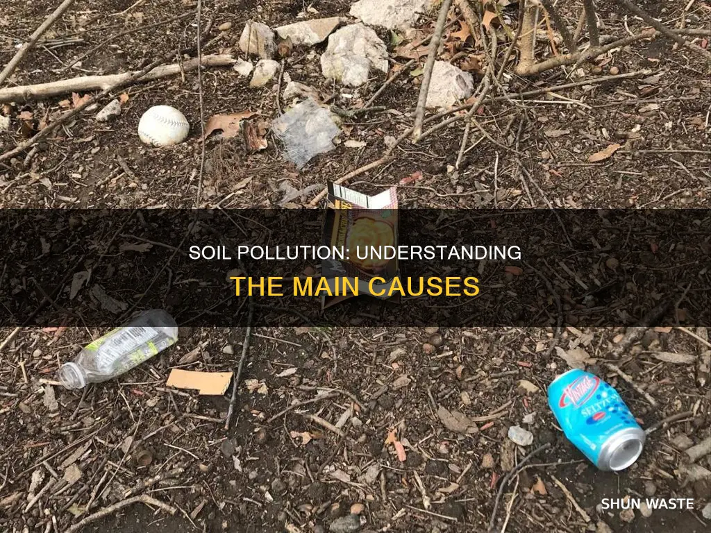 Soil Pollution: Understanding The Main Causes | ShunWaste