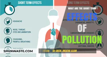 Understanding The 7 Main Types Of Pollution | ShunWaste