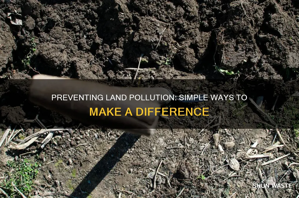 Preventing Land Pollution: Simple Ways To Make A Difference | ShunWaste