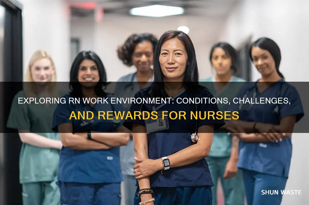 Exploring Rn Work Environment: Conditions, Challenges, And Rewards For ...