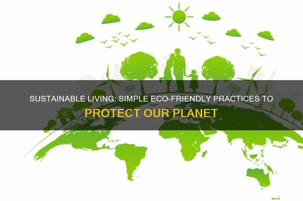 Sustainable Living: Simple Eco-Friendly Practices To Protect Our Planet ...