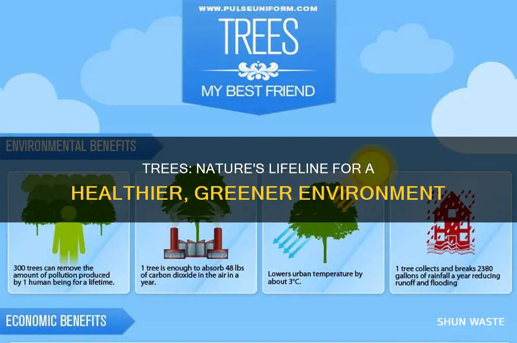 Trees: Nature's Lifeline For A Healthier, Greener Environment | ShunWaste
