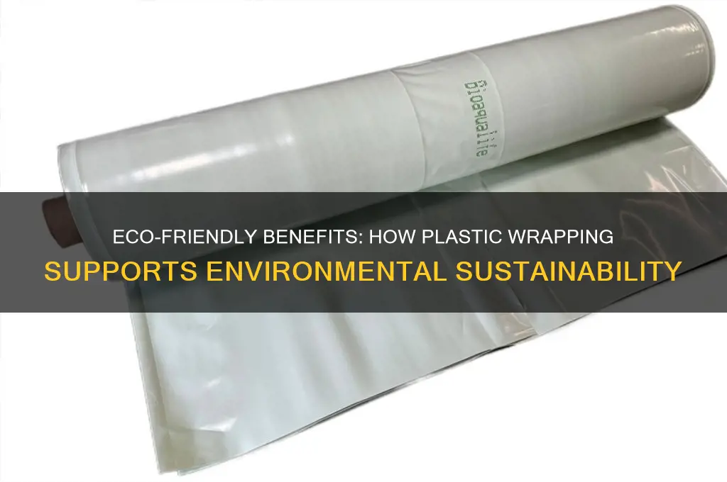 Eco-Friendly Benefits: How Plastic Wrapping Supports Environmental ...