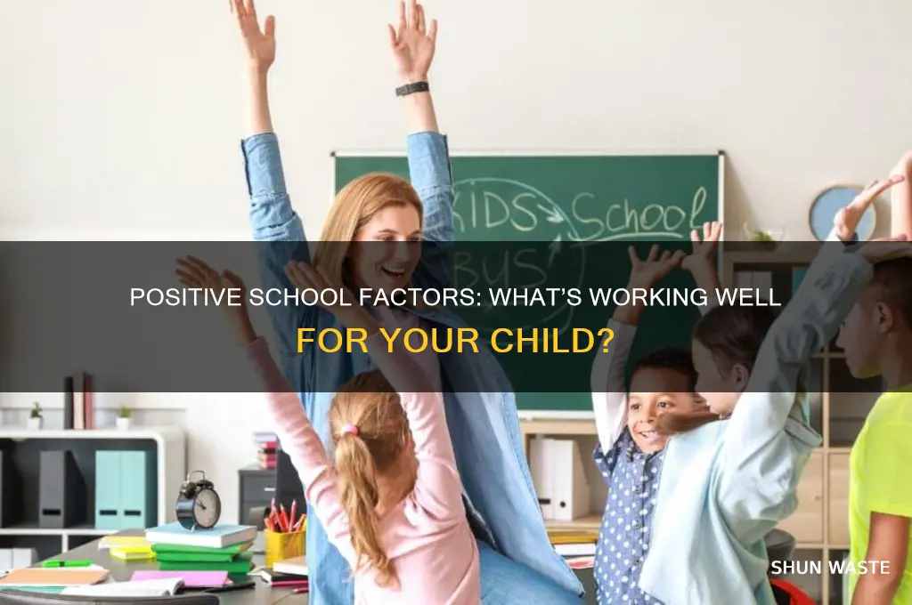 Positive School Factors: What’S Working Well For Your Child? | ShunWaste