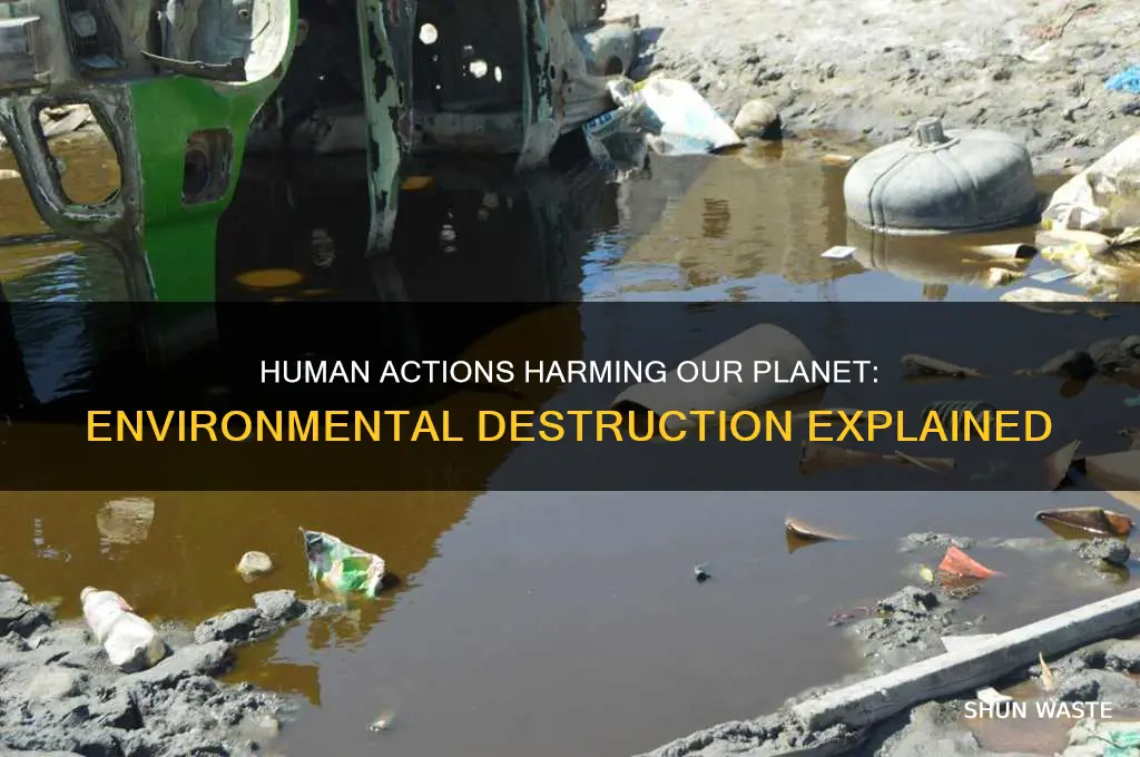 Human Actions Harming Our Planet: Environmental Destruction Explained ...
