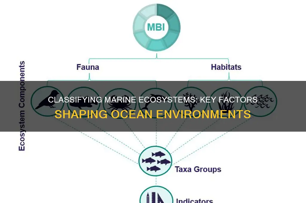 Classifying Marine Ecosystems: Key Factors Shaping Ocean Environments ...