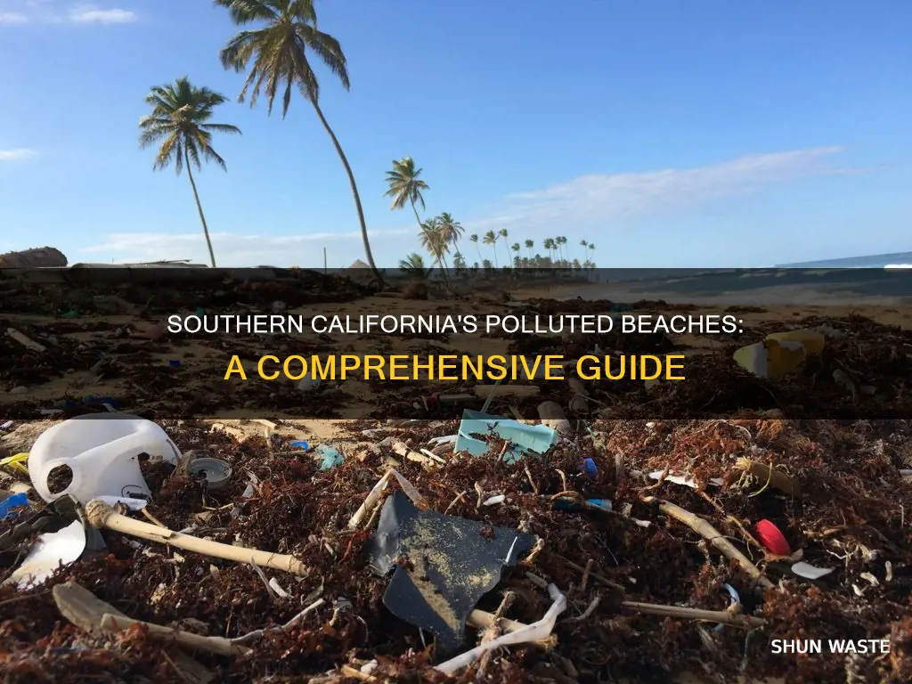 Southern California's Polluted Beaches: A Comprehensive Guide | ShunWaste