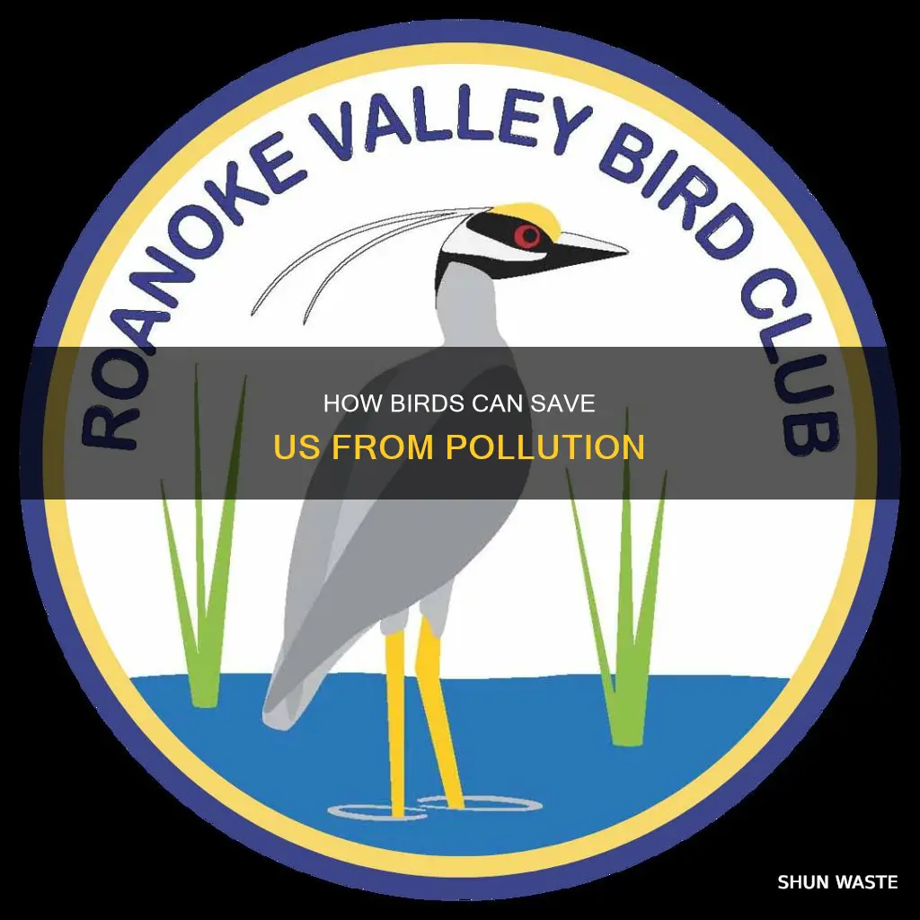 How Birds Can Save Us From Pollution | ShunWaste