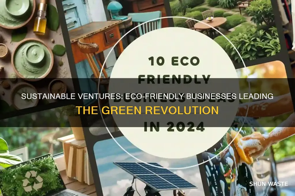 Sustainable Ventures: Eco-Friendly Businesses Leading The Green ...