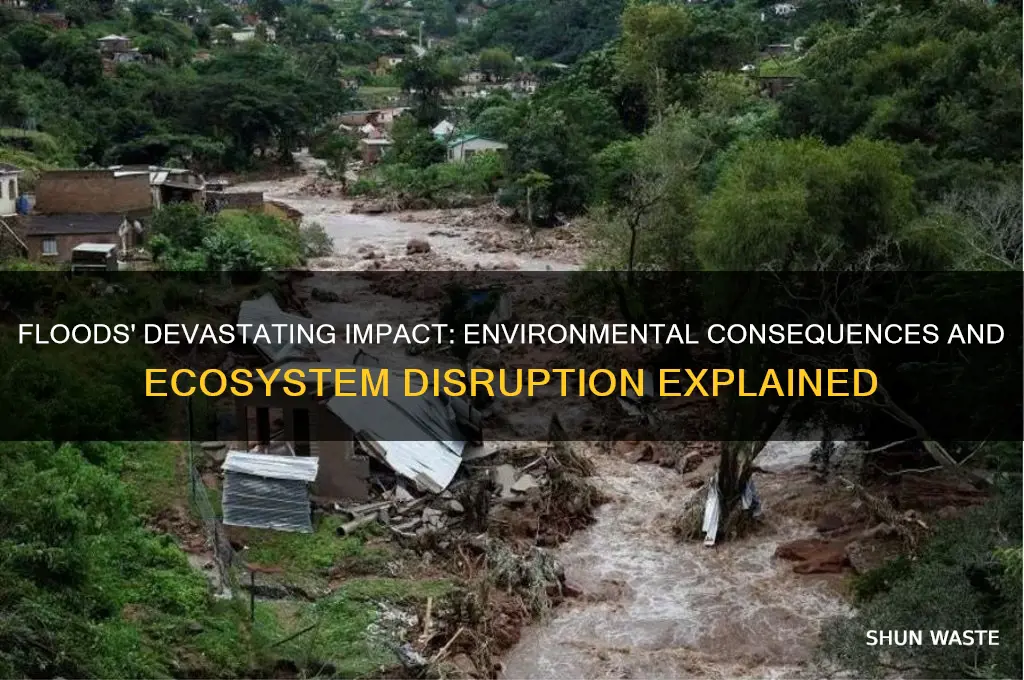 Floods' Devastating Impact: Environmental Consequences And Ecosystem ...
