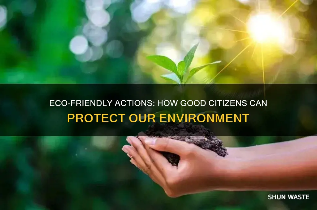 Eco-Friendly Actions: How Good Citizens Can Protect Our Environment ...