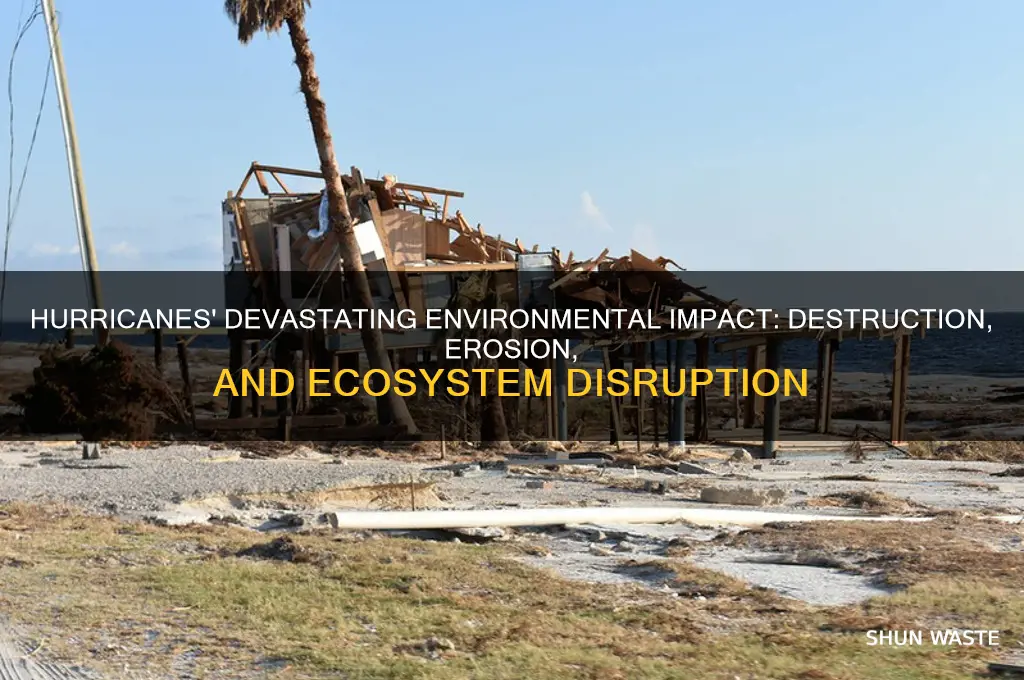 Hurricanes' Devastating Environmental Impact: Destruction, Erosion, And ...
