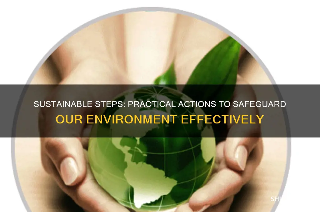 Sustainable Steps: Practical Actions To Safeguard Our Environment ...