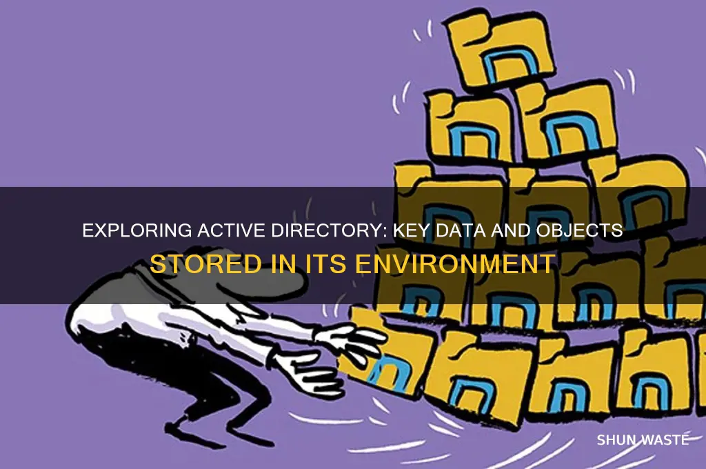 Exploring Active Directory: Key Data And Objects Stored In Its ...