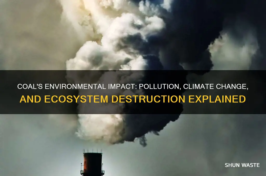 Coal's Environmental Impact: Pollution, Climate Change, And Ecosystem ...