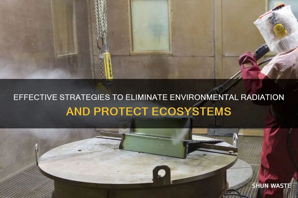 Effective Strategies To Eliminate Environmental Radiation And Protect ...
