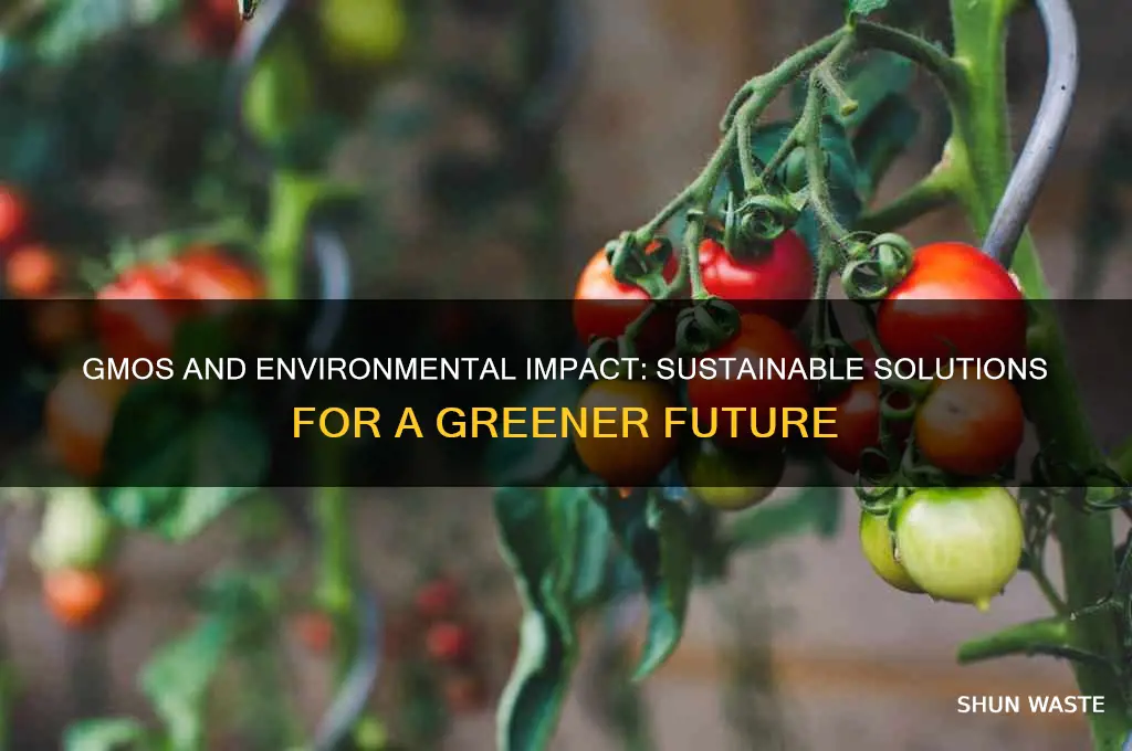 Gmos And Environmental Impact: Sustainable Solutions For A Greener ...