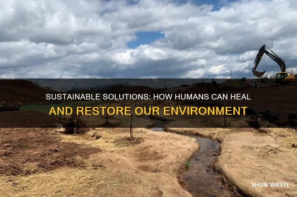 Sustainable Solutions: How Humans Can Heal And Restore Our Environment ...